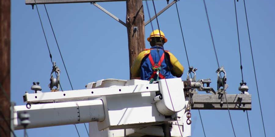 The Efficiency Dilemma: Examining Energy Sector Jobs and Electricity ...