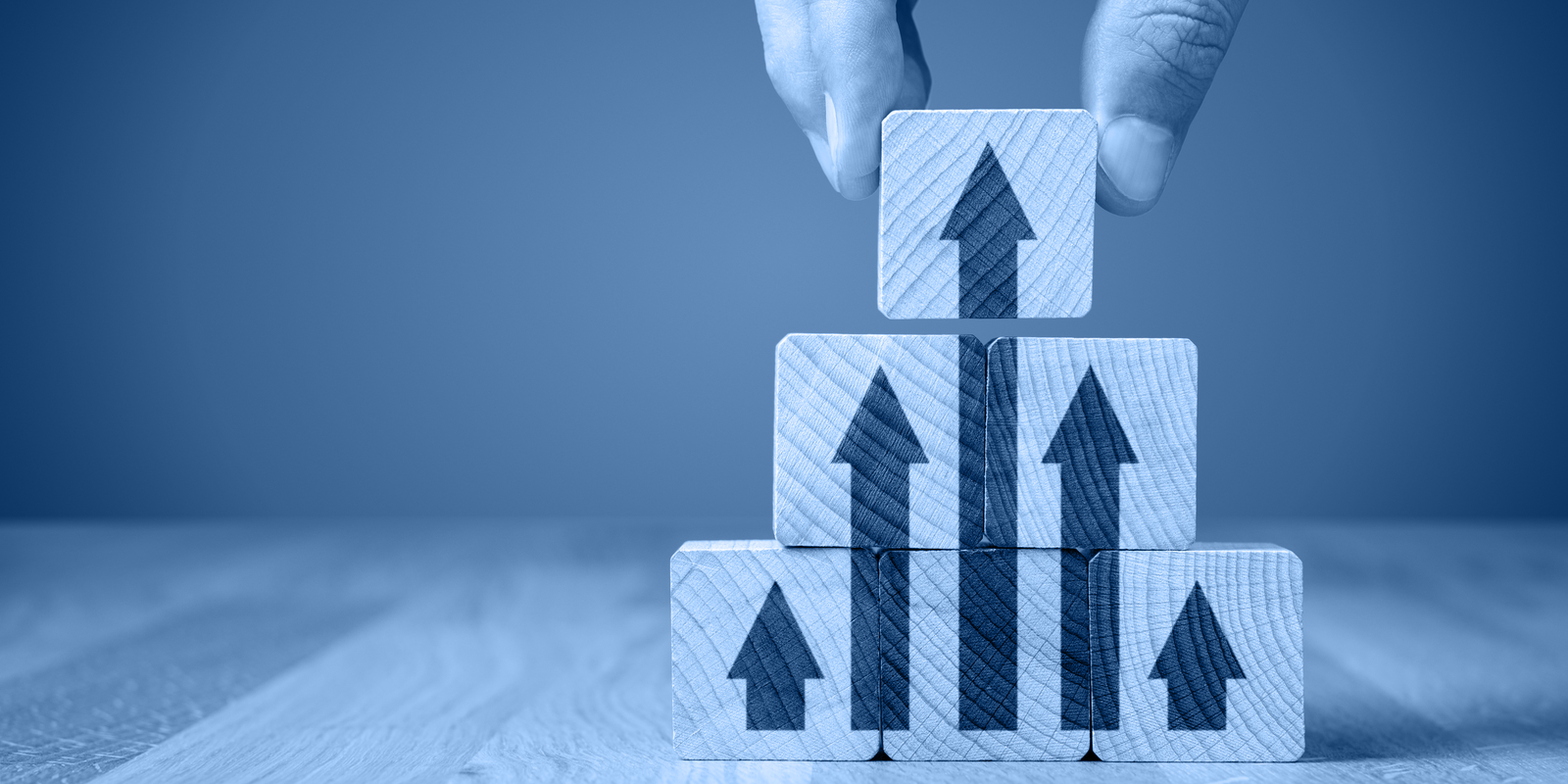 SPPI Ranked #1 in State SEO Rankings by Tallest Tree